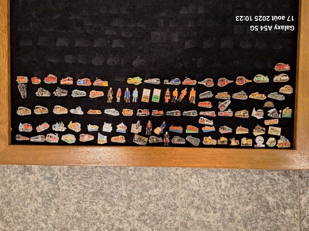 Vitrine avec 75 pins de chemin de fer Schmid - Muller + 18 p (D ...