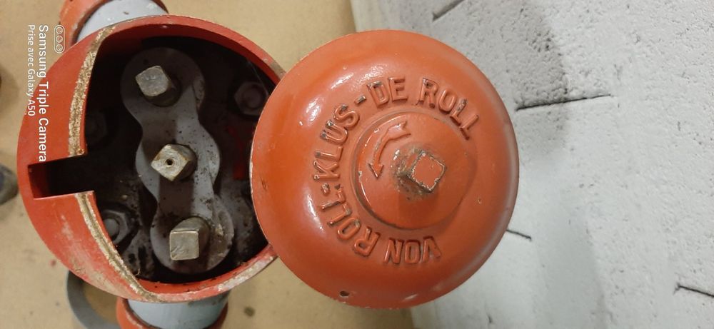 Borne hydrante (Gebraucht) in Blonay für CHF 20 – nur Abholung auf ...
