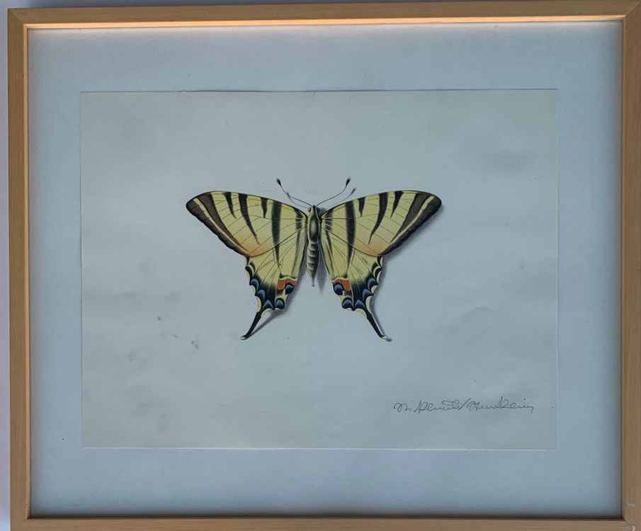 Niklaus STOECKLIN (1896-1982) Lithographie Handsigniert (Gebraucht) in ...