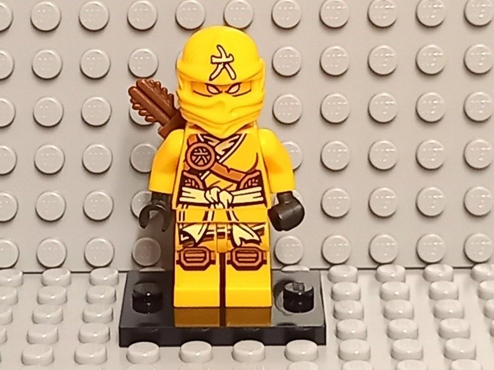 Lego Ninjago njo135 Skylor (Jungle Robe) (Gebraucht) in Derendingen für ...