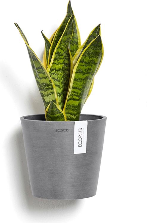 ECOPOTS Amsterdam Wandblumentopf "Wall" - grau (Neu und originalverpackt) in Adliswil für CHF 7 ...