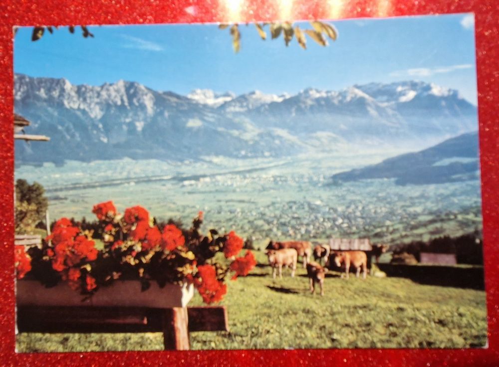 Blick vom Gamserberg ins Rheintal (neuwertig) (Neu (gemäss Beschreibung)) in Melchnau für CHF 1 ...