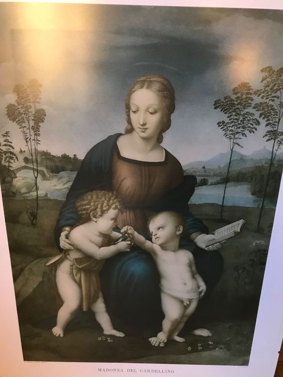 Bild MADONNA DEL CARDELLINO von Raffaello Sanzio 70 x 50 cm (Gebraucht) in Boll für CHF 1 – nur ...