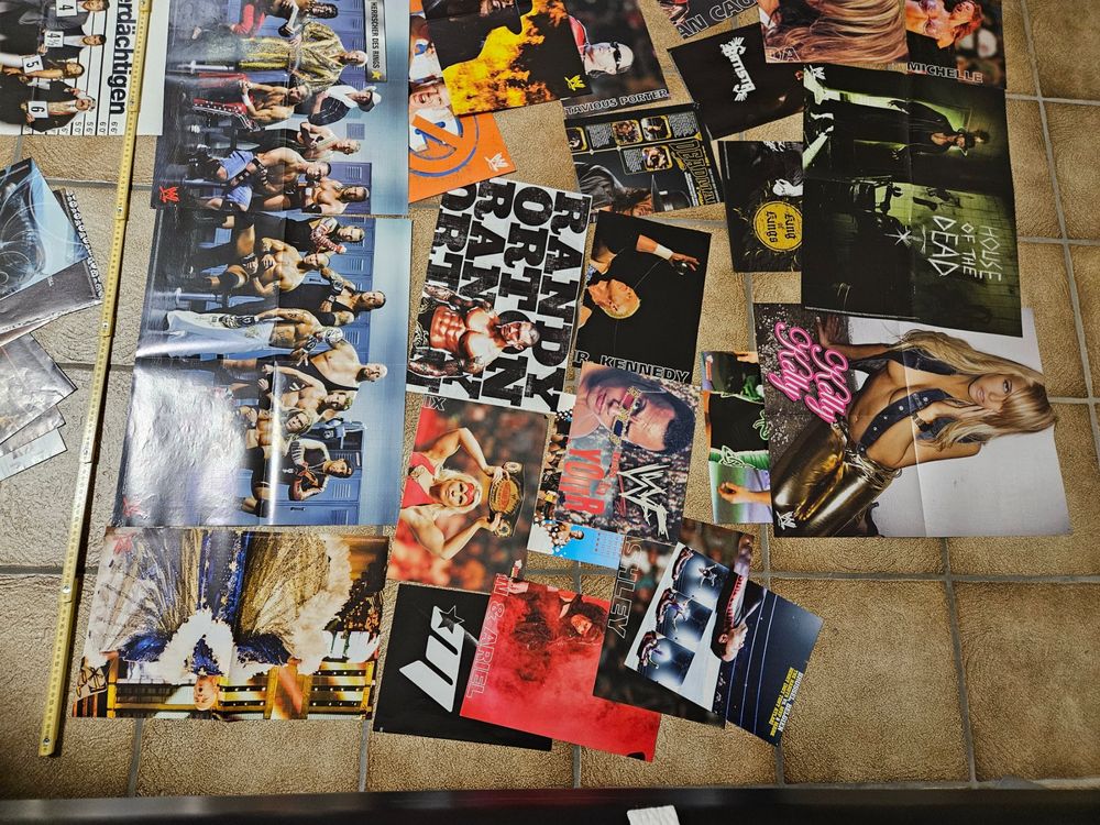 WWE Wrestling Poster Sammlung Attitude Era Divas WWF WCW (Gebraucht) in ...