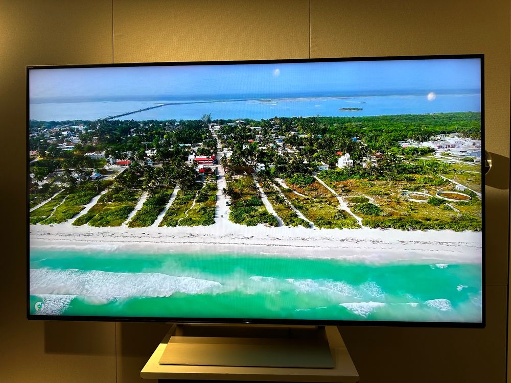 Sony LCD TV KD-65XE9305 | Kaufen auf Ricardo