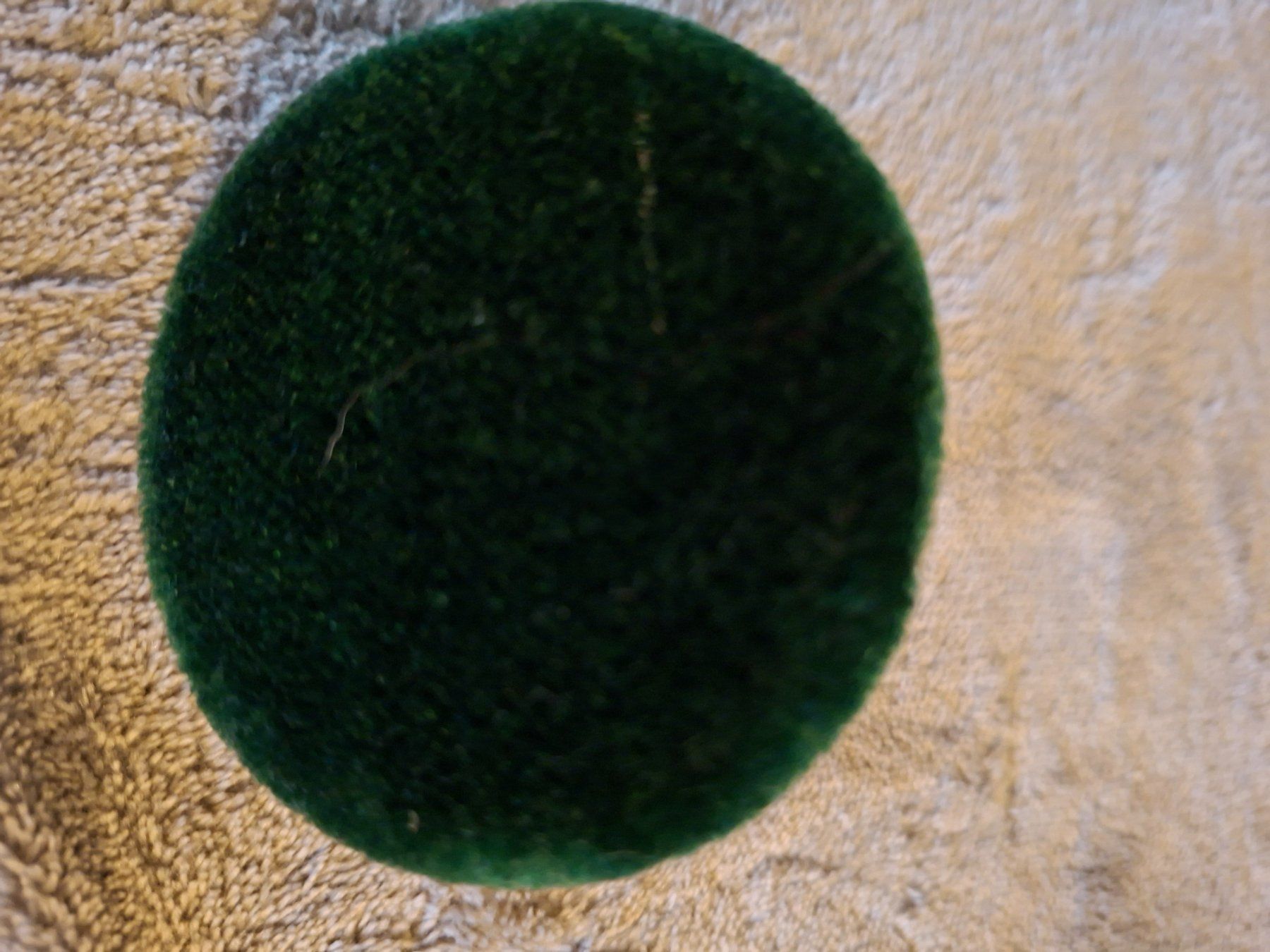 "His Master's Voice"Plattenputzer antik Rarität Sammelwürdig (Gebraucht ...