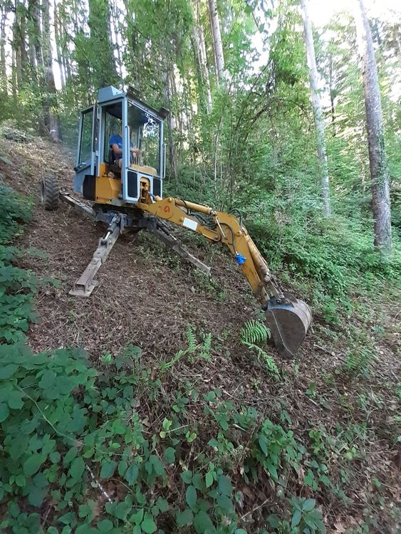 Hutter C17 (Menzi Jolly Schreitbagger) | Kaufen auf Ricardo