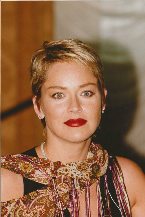 Film, Mode, Sharon Stone, Paris Ritz, 1998 | Kaufen auf Ricardo
