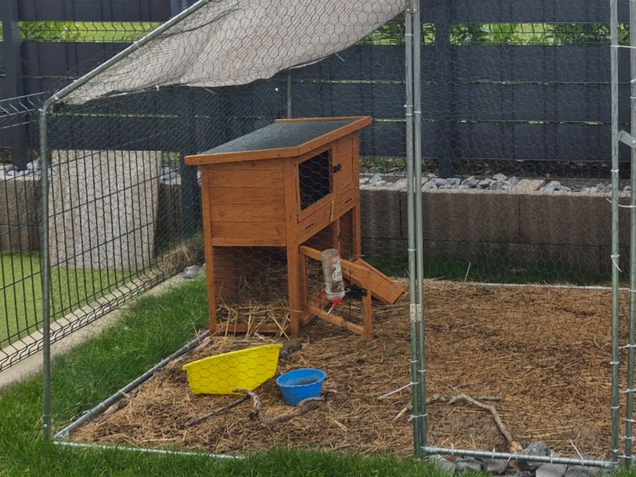 Niche douillette pour rongeurs - Idéale pour l'été! (D'occasion) à ...