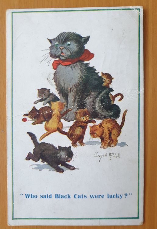 AK Katze 1927 England "Who said Black Cats were lucky?" (Gebraucht) in ...
