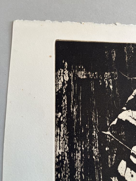 aus Grafiksammlung Radierung von Rudolf Mumprecht / EA (Gebraucht) in ...