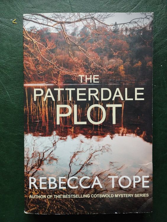 Rebecca Tobe, The Patterdale plot (Gebraucht) in Uetliburg SG für CHF 1 ...