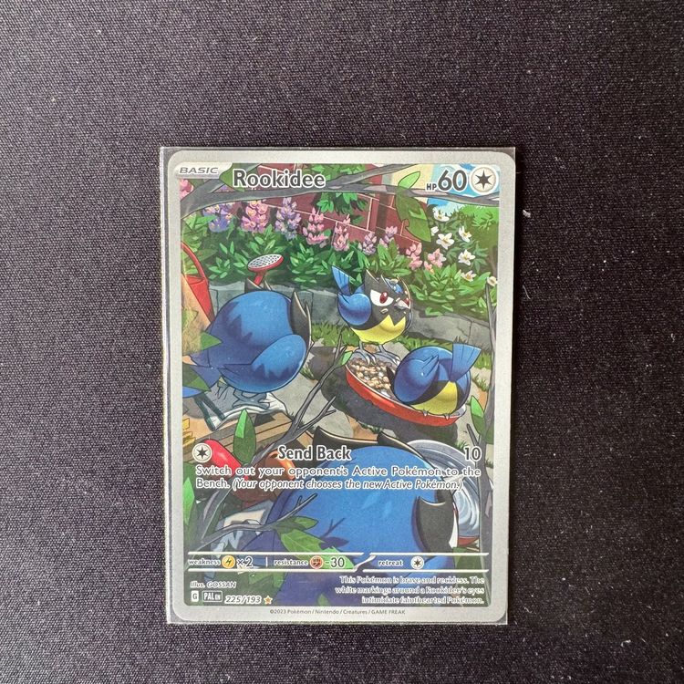 Pokémon Karte | Rookidee Illustration Rare PAL ENG (Neu (gemäss ...