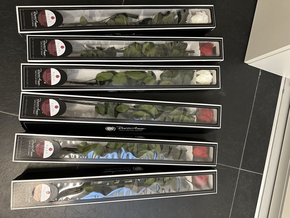 Rose Amor - Echte Rose, die ewig hält! Geschenkidee 🌹 (Neu (gemäss ...