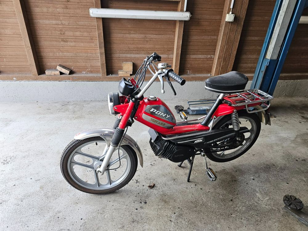 Pony 503 GTX KTM Kat ab 1.- | Kaufen auf Ricardo