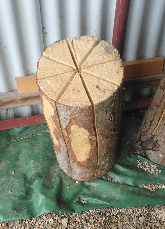 Bûche allumage écologique suisse (Neu und originalverpackt) in lignières für CHF 30 – nur ...