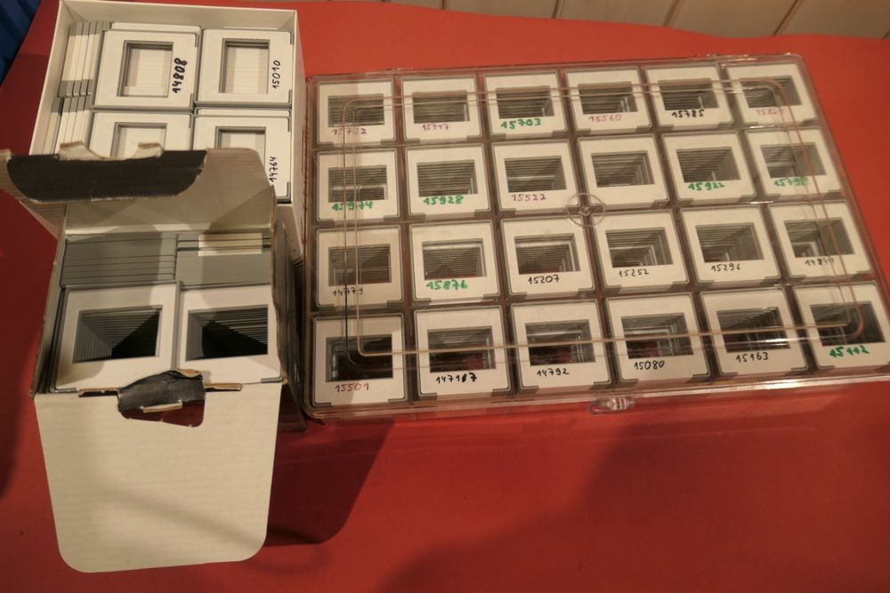 Ca. 650 Kleinbild Diarahmen Diaspeed, Format 24x36mm. | Kaufen auf Ricardo