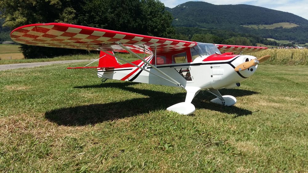 Taylorcraft von Hangar 9 | Kaufen auf Ricardo