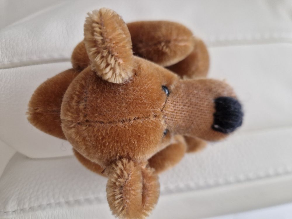 Hermann Teddybär von Annette Rauch (Gebraucht) in Rütihof für CHF 80 ...