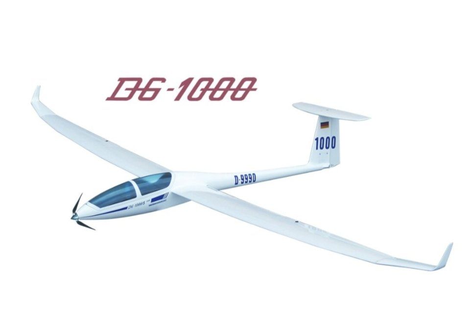 Fly Fly DG-1000 ARF mit Servos und Regler (Neu (gemäss Beschreibung ...