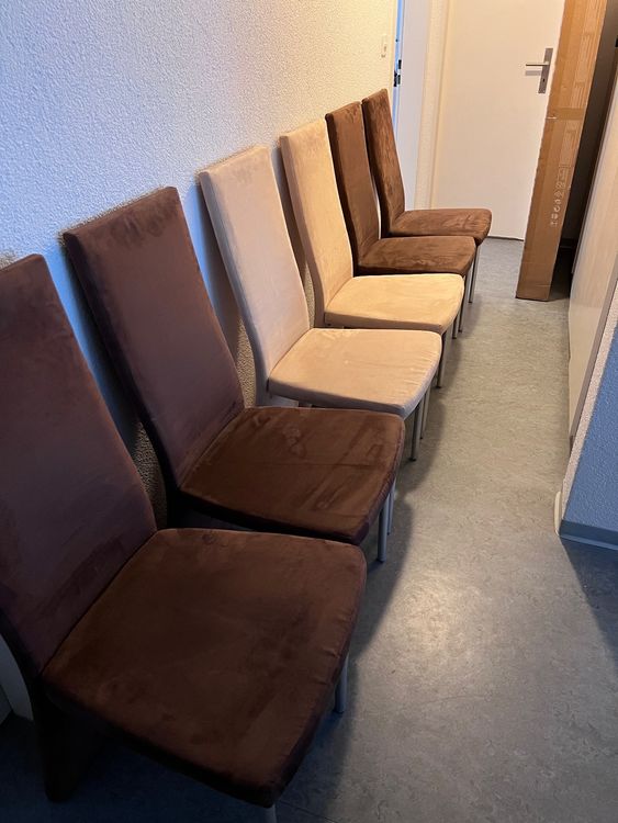 TOP ZUSTAND Bruno Steinhoff Gmbh Stühle 6 Stk 2-Farbig (4+2) | Kaufen ...