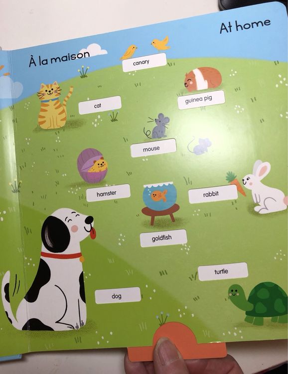 Livre enfant: Mes 100 premiers mots anglais, animaux! (Neuf (Voir ...