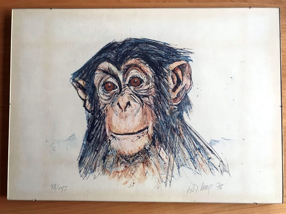 ORIGINAL-LITHOGRAPHIE VON FRITZ HUG "AFFENKOPF" (Gebraucht) in Wil SG für CHF 57 – mit Lieferung ...