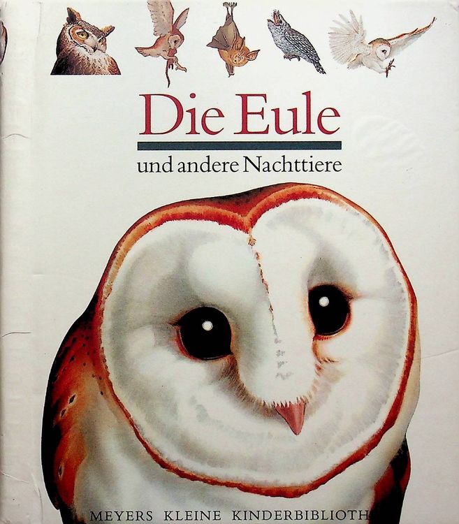 Die Eule Band 29 Meyers kleine Kinderbibliothek (Gebraucht) in Reitnau ...