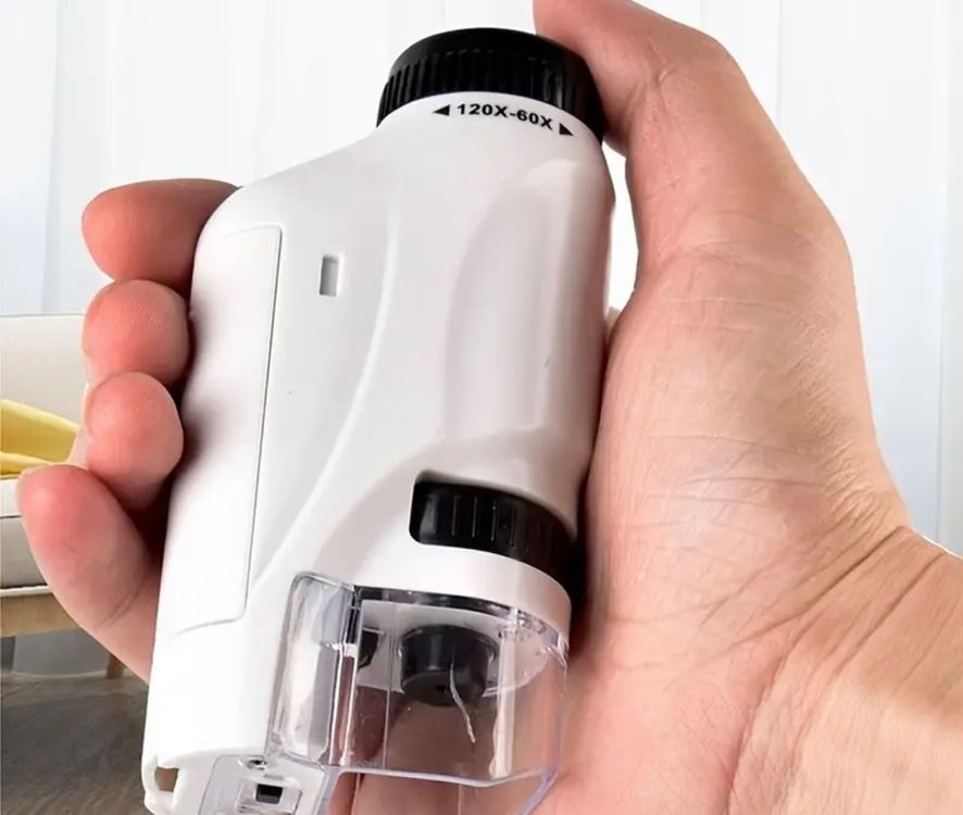 Taschenmikroskop für Kinder, tragbares Hand-Mini-Mikroskop | Kaufen auf ...