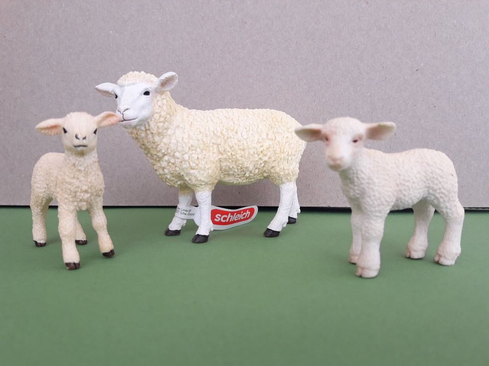 3x Schaf: Schaf mit zwei Lämmer - Schleich (Gebraucht) in Beinwil am See für CHF 18 – mit ...