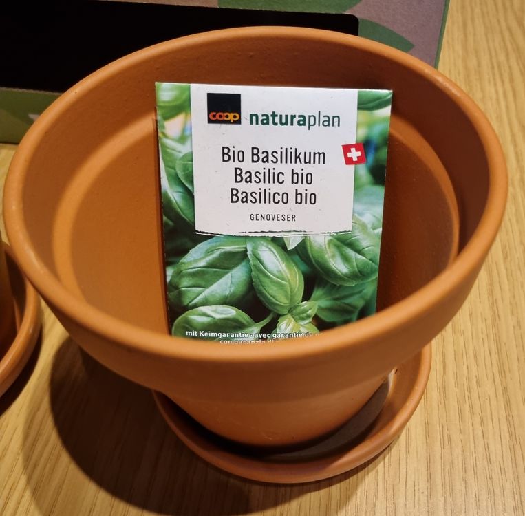 Terracotta Topf Set 2-teilig mit Bio-Kräutersamen 🌱 (Neu und ...