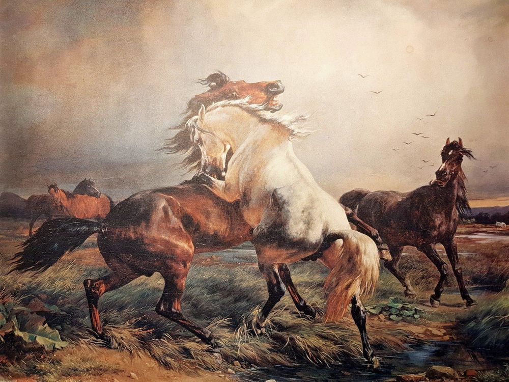 Pferdebild Gemälde Kunstdruck Pferde Rudolf Koller (Neu (gemäss Beschreibung)) in Hinterforst ...