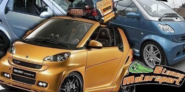 Smart For Two 450 Motor Tuning (Neu und originalverpackt) in Winterthur ...