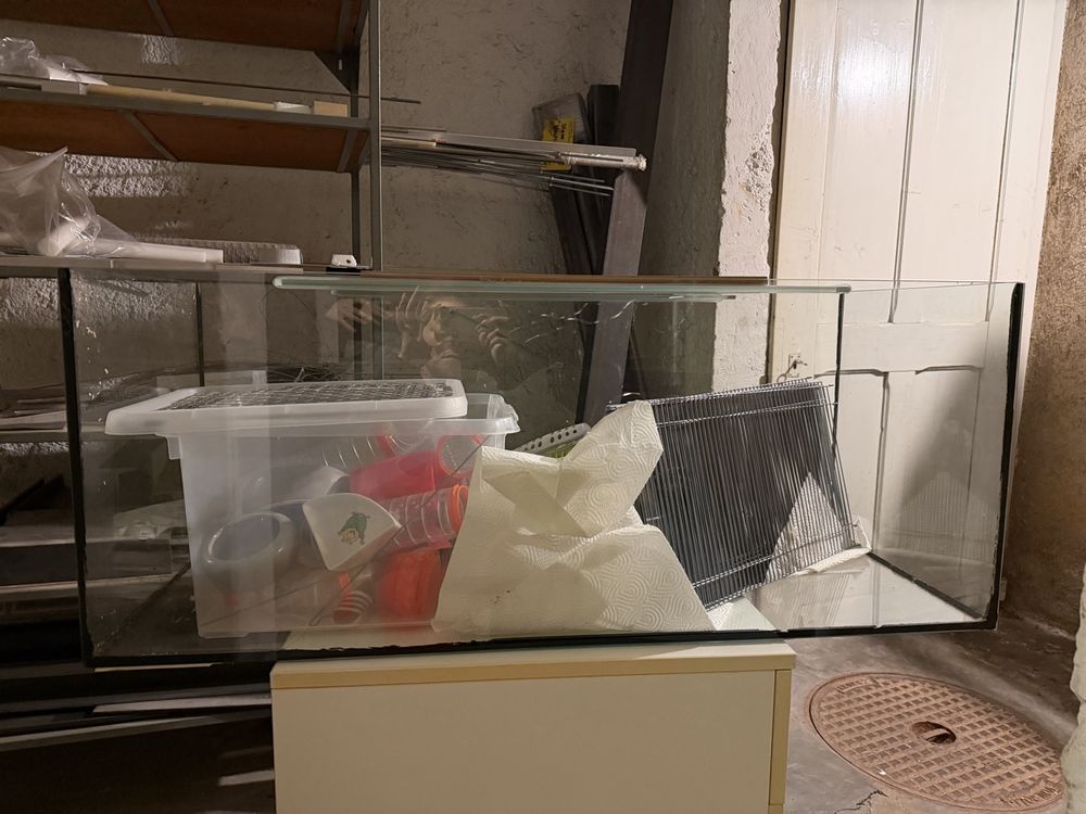 Terrarium avec accessoires (D'occasion) à Moutier pour CHF 80 – retrait ...