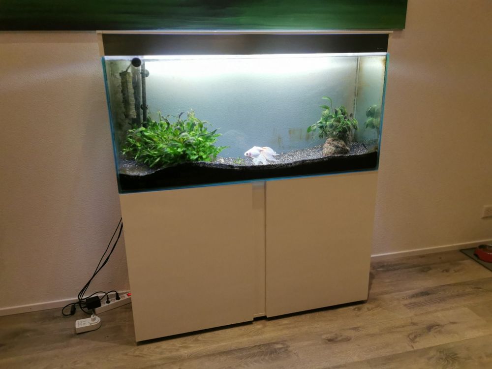 Aquarium komplett (Gebraucht) in Baar für CHF 150 – nur Abholung auf Ricardo kaufen