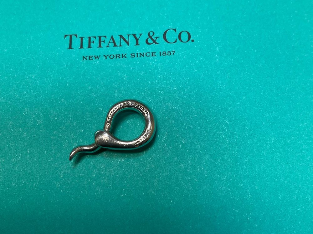 Tiffany & Co 925 Silver Elsa Peretti Snake Anhänger 🩵🩵🩵 (Gebraucht) in ...