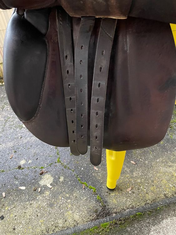 Peter Menet Sattel (Gebraucht) in für CHF 499 – nur Abholung auf ...