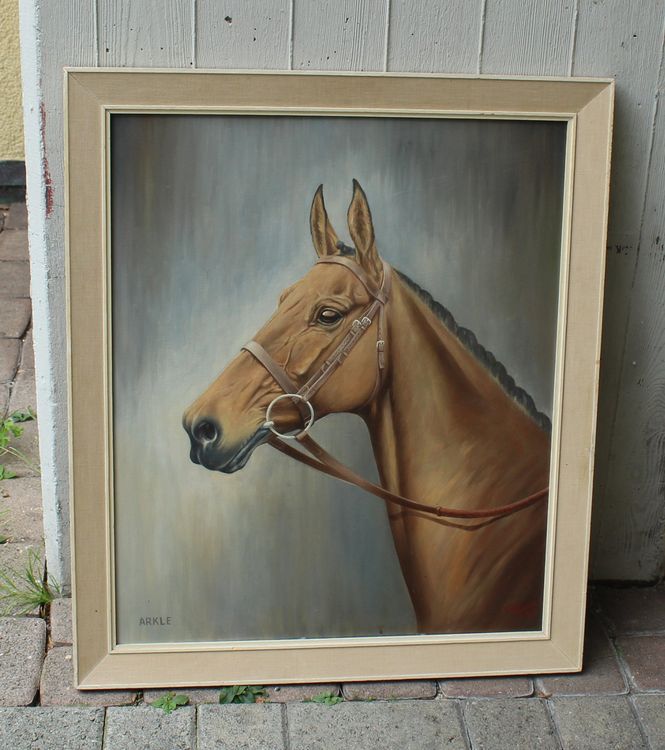 John Haves Oel auf Platte ARKLE Pferd signiert datiert 1970 (Gebraucht) in Zürich für CHF 320 ...