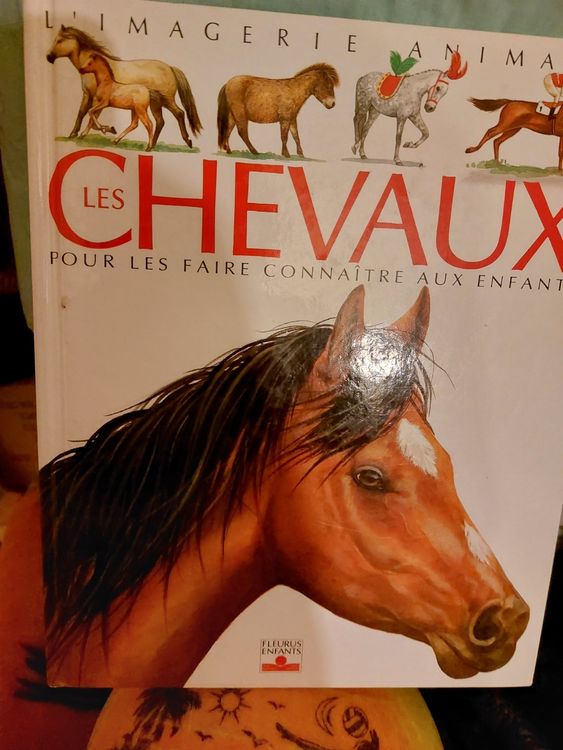 Livres les chevaux et livre Préhistoire pour enfant | Kaufen auf Ricardo