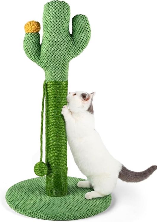 AniOne Cat Scratching Post for Cats Cactus natural Sisal (Neu (gemäss ...