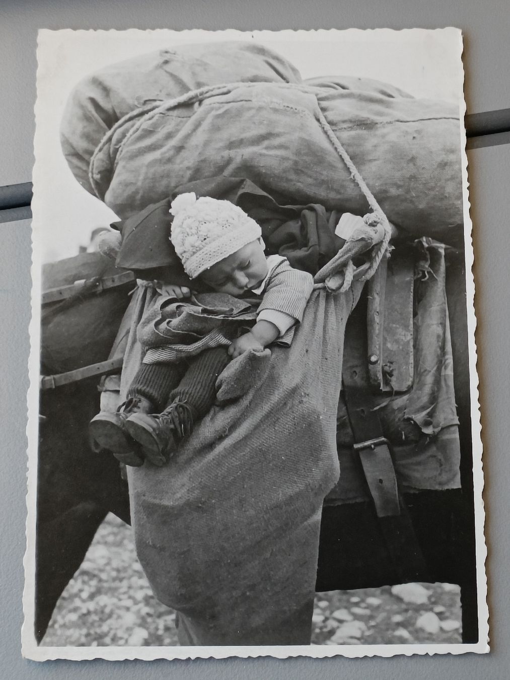 Echt Photo Karte / Saviese - La Montee Aux Mayens ca. 1930 (Gebraucht ...