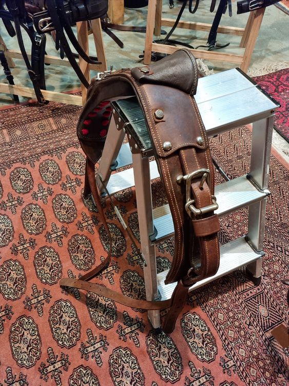 Selett Kammdeckel Einspännergeschirr Brustblattgeschirr | Kaufen auf ...