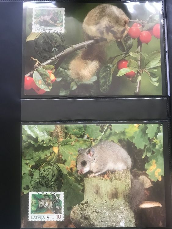 WWF Lettland 1994 Siebenschläfer Satz Maximumkarten (Neu (gemäss Beschreibung)) in Liestal für ...