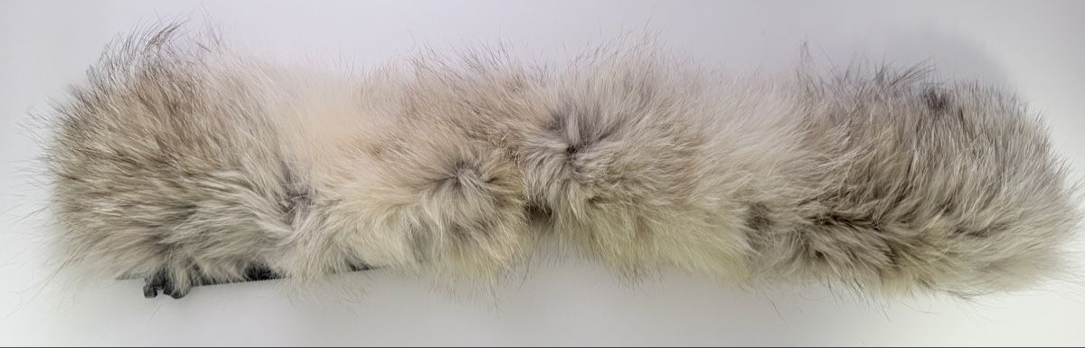 Canada Goose Wyndham Parka Navy Gr. L FULL SET inkl. Fell (Neu (gemäss ...