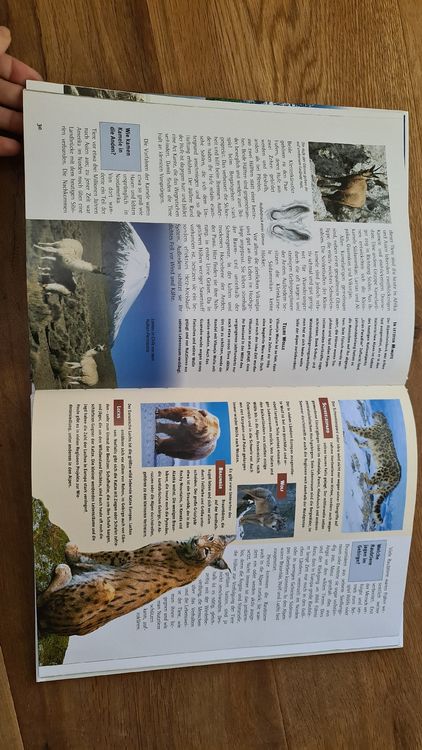 was ist was bücher set (Gebraucht) in Wittenbach für CHF 38 – mit ...