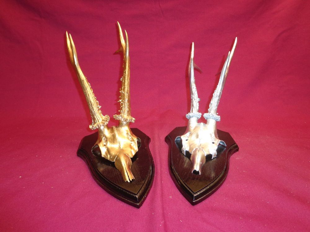 Reh, Geweihe, Trophäe, Horn, Dekoration, Jagd, Gold, Silber (Neu ...