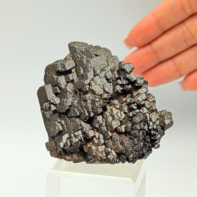 Seltene MELANIT, SCHWARZER GRANAT mit EPIDOT, Mali (Neu (gemäss ...
