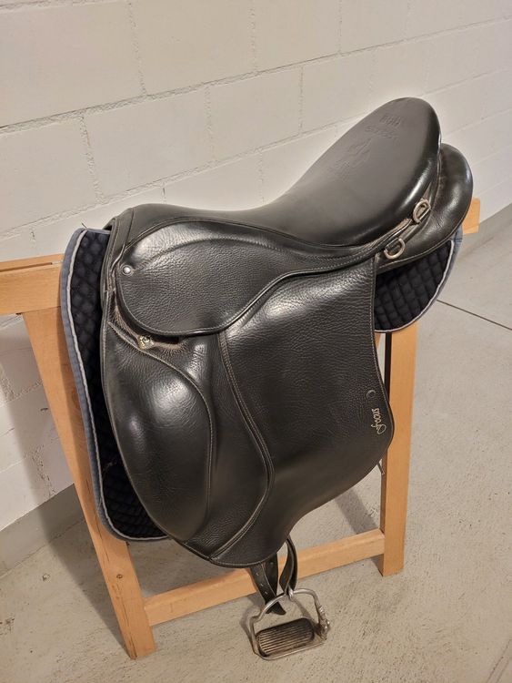 Sattel Islandpferd Stübben Focus | Kaufen auf Ricardo