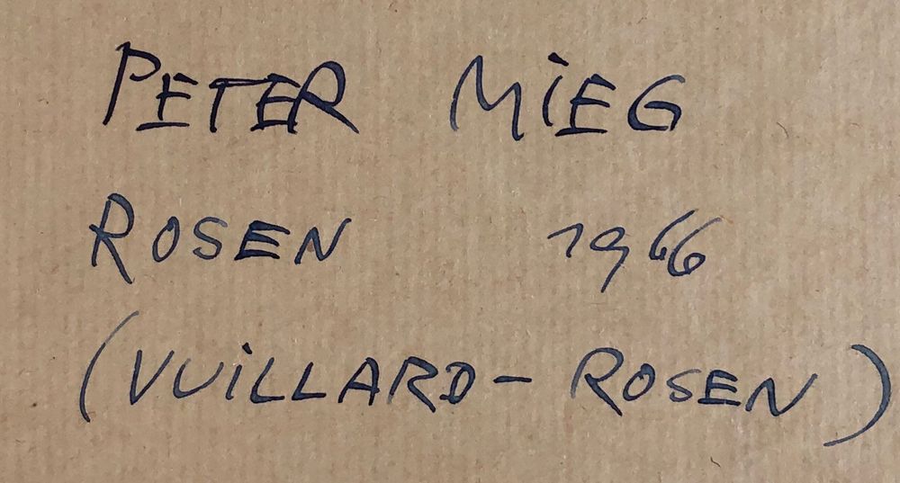 Peter Mieg Orig Aquarell „Vuillard Rose“ (Gebraucht) in Hochdorf für CHF 85 – mit Lieferung auf ...