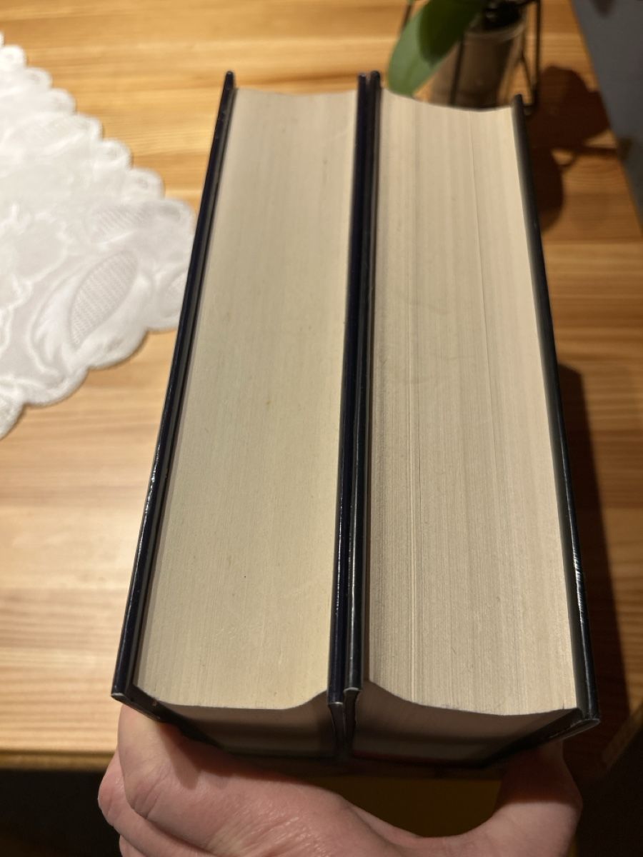 Stephen King: Sara + Das Bild Rose Madder, Top Zustand (Gebraucht) in ...